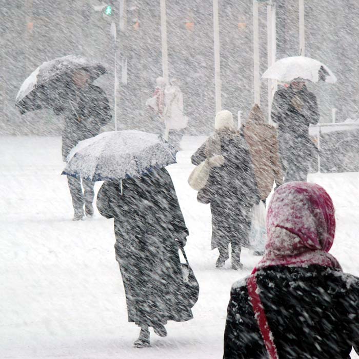 4 Ways to Create an Inclement Weather Policy